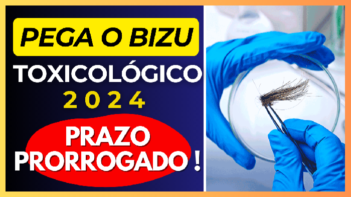 Exame TOXICOLÓGICO 2024: Prazo PRORROGADO!!! :: Bizuário de Trânsito 2025